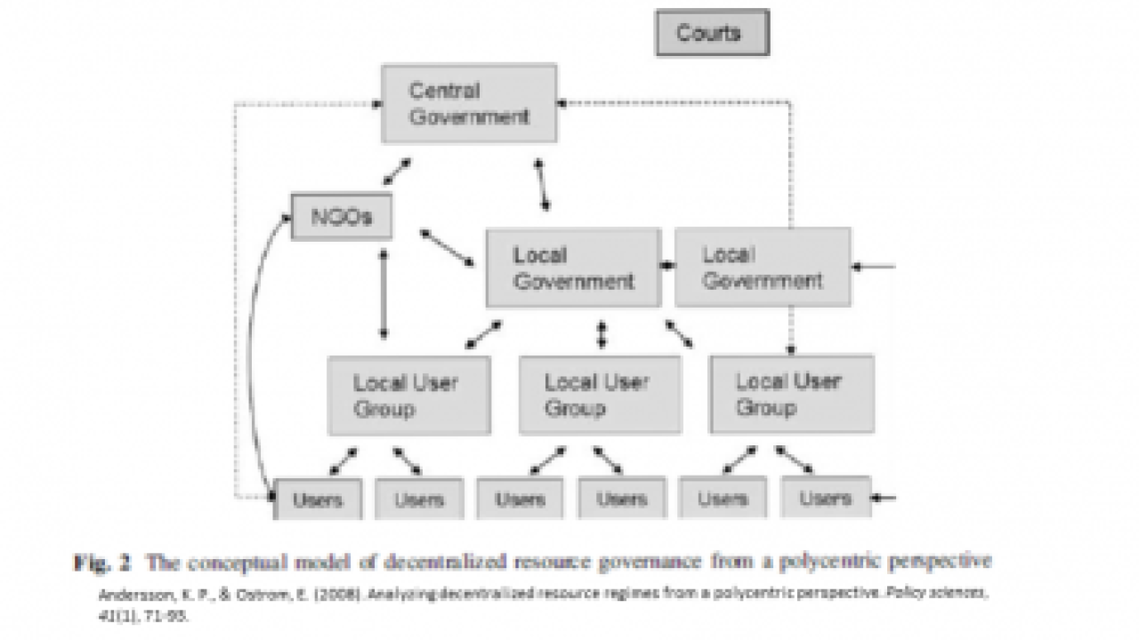 Polycentric Governance: A Concept Searching for a Theory | Center for Environmental Policy ...